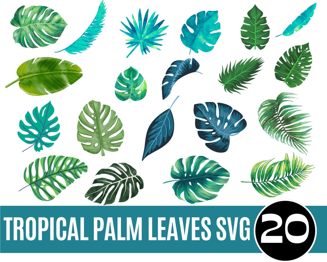 Tropical Palm Leaf Svg, Monstera Leaf Svg, Commercial Use Svg, Jungle ...