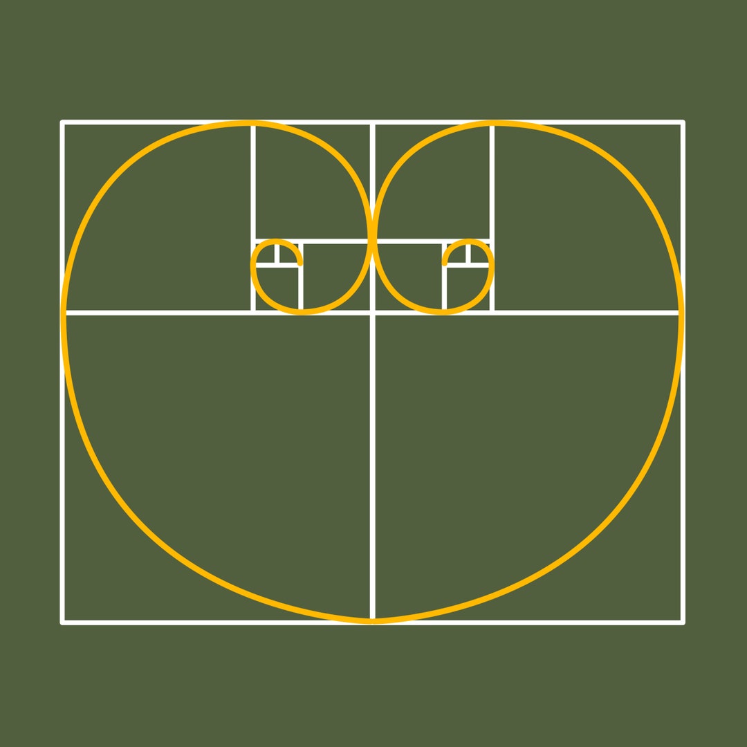 Fibonacci Spiral Heart Shirt, Golden Ratio Love Tee, Math T-shirt ...