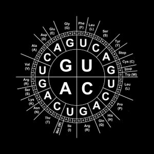 Codon Shirt, Genetic Code Tee, Biology Science T-shirt, - Etsy