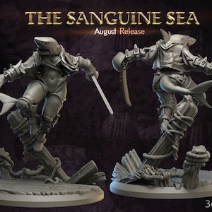Female Wereshark Pirate / Tabletop Figurine / Miniature Model - Etsy