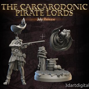 Female Pirate Crew / Tabletop Figurine / Miniature Model | 3dartdigital ...