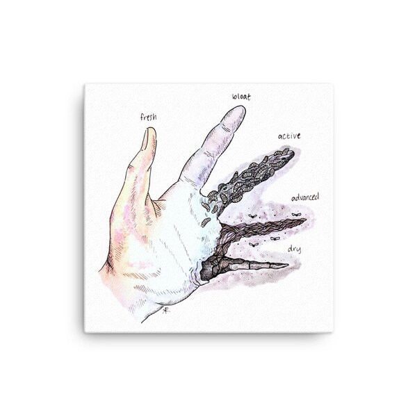 Stages of Decay Embroidery - Etsy