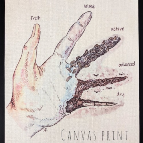 Stages of Decay Hand Art Print by Skye Rain Art Forensic - Etsy
