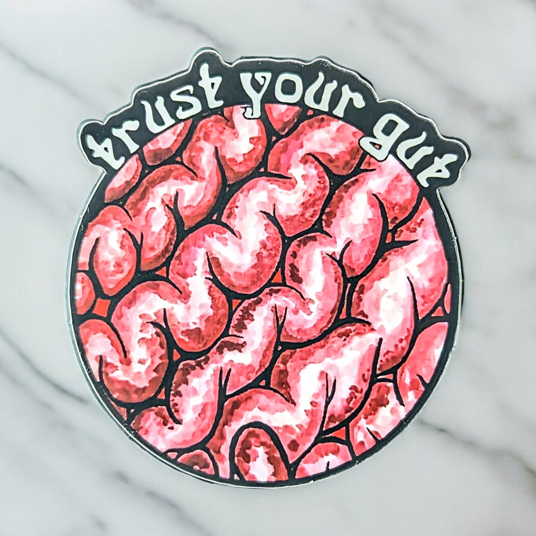 Trust Your Gut Sticker & Magnet by Skye Rain Art Human Anatomy ...
