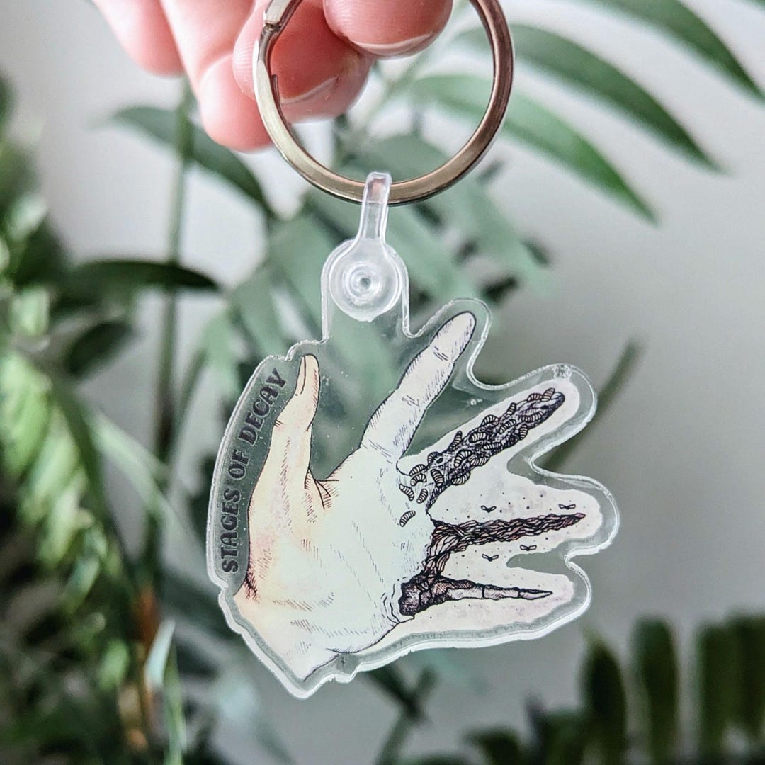 Stages of Decay Hand Acrylic Keychain: Forensic Science Gift - Etsy