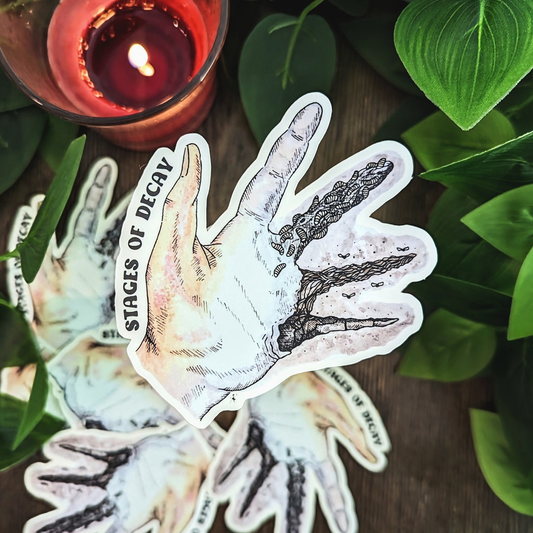 Stages of Decay Hand Sticker & Magnet by Skye Rain Art Forensic Science ...