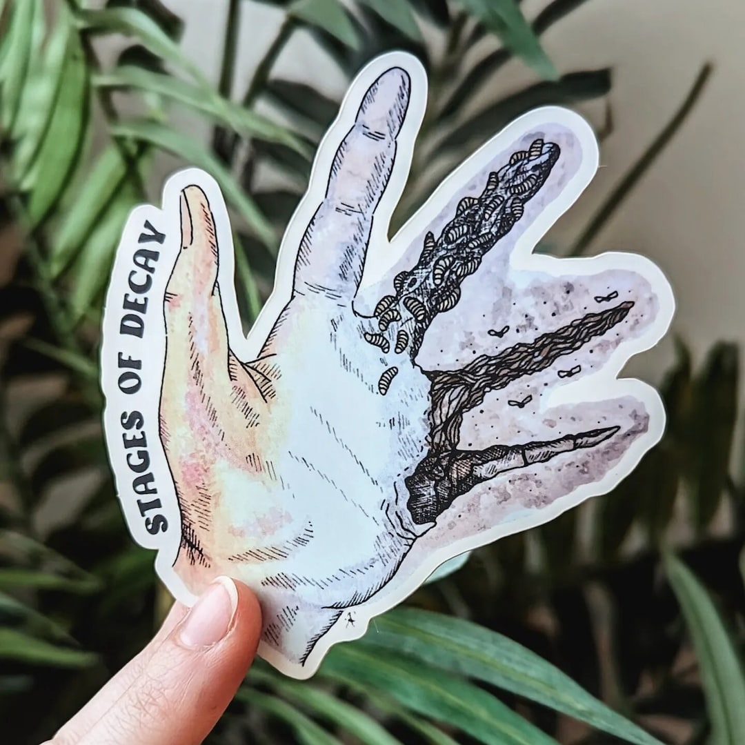 Stages of Decay Hand Sticker : Vinyl Decal - Hand Drawn - Forensic ...