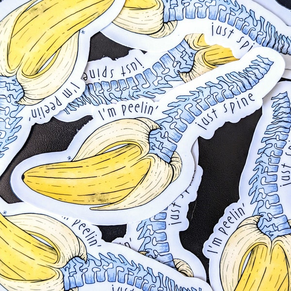 Spine Anatomy Sticker - Etsy