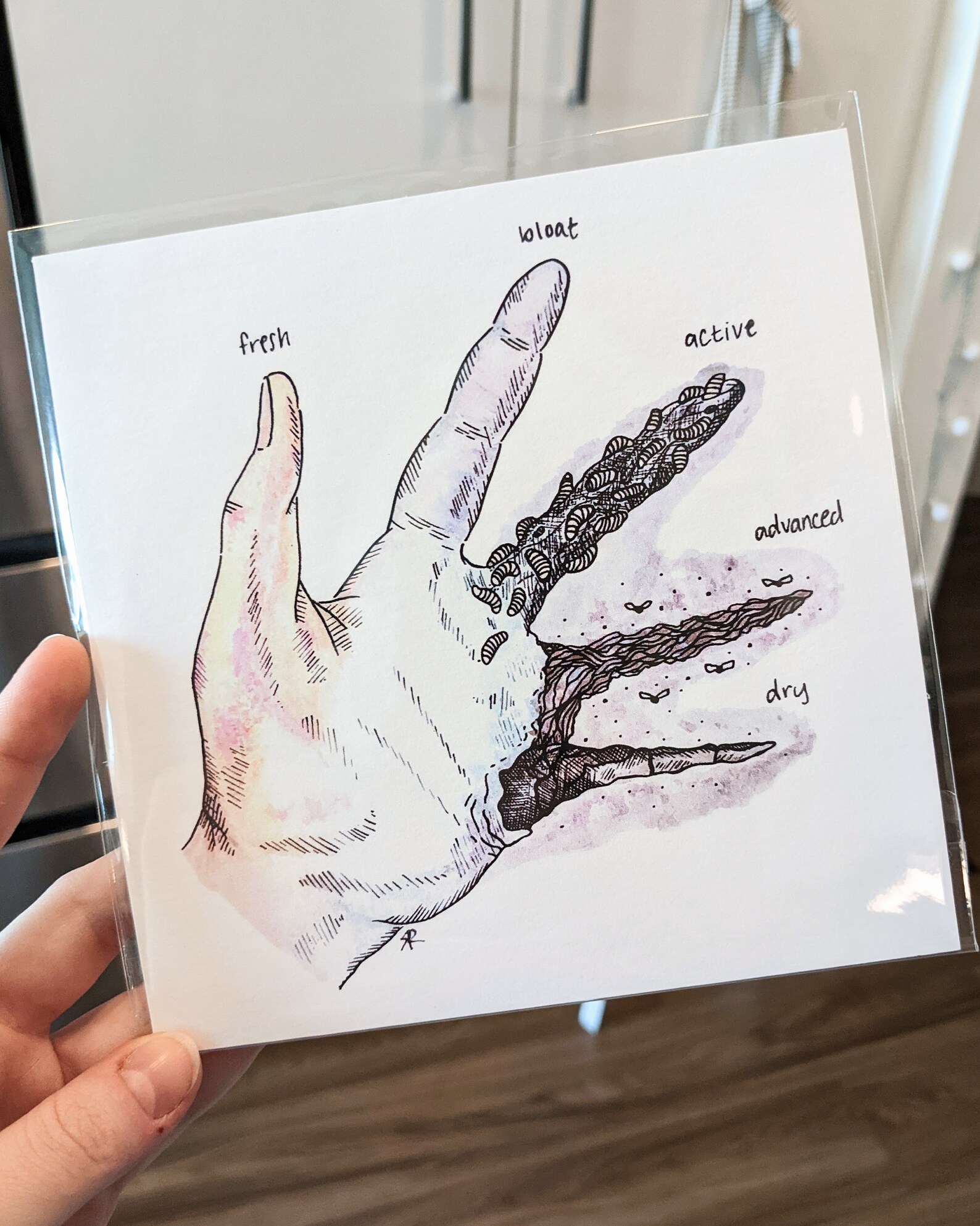 Stages of Decay Hand Art Board Print by Skye Rain Art - Etsy