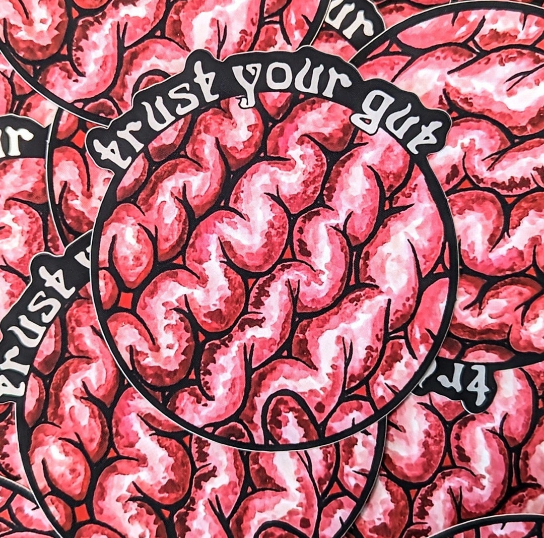 Trust Your Gut Sticker & Magnet by Skye Rain Art Human Anatomy ...