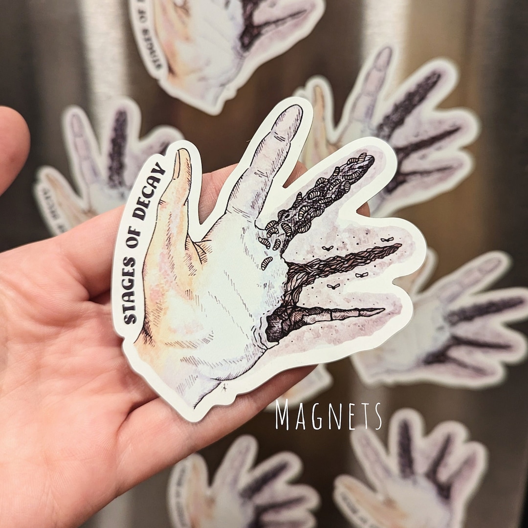 Stages of Decay Hand Magnet: True Crime, Forensic Science - Etsy