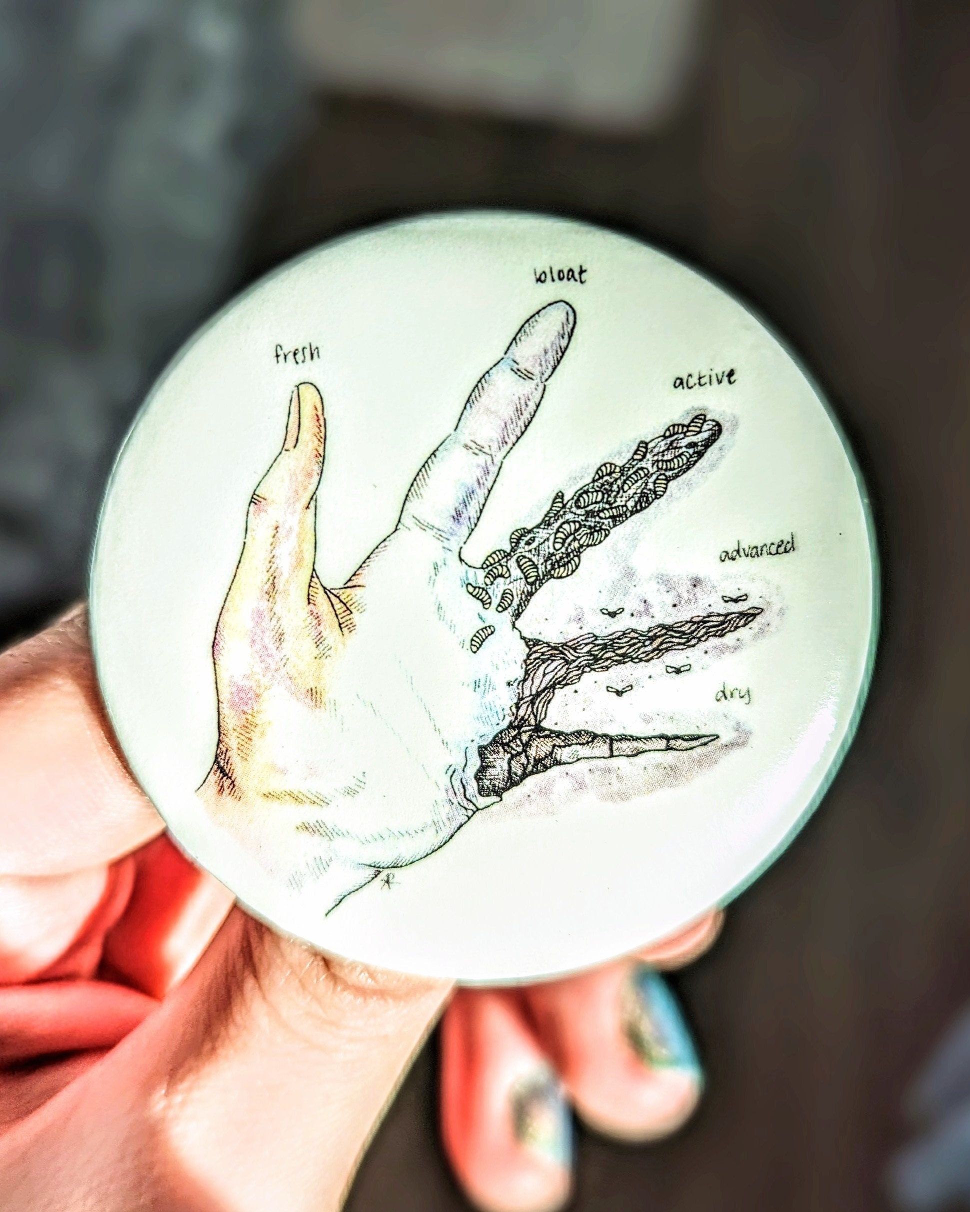 Stages of Decay Hand Pin Button by Skye Rain Art Forensic - Etsy Australia