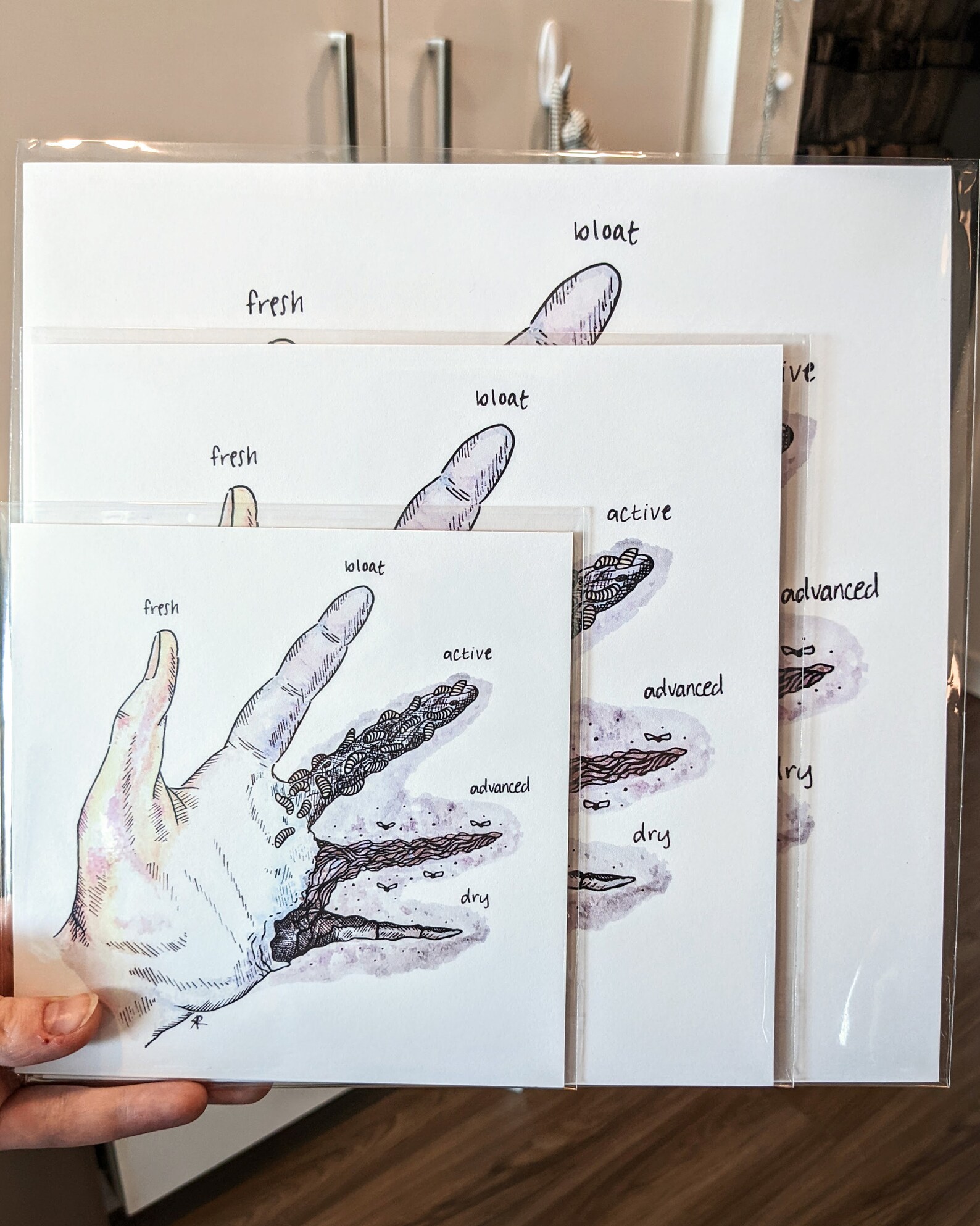 Stages of Decay Hand Art Board Print by Skye Rain Art - Etsy
