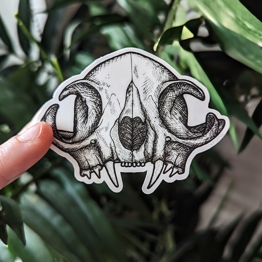 Anterior Cat Skull Sticker & Magnet by Skye Rain Art Feline Morbid Dark ...