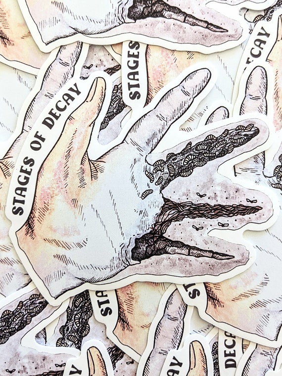Stages of Decay Hand Sticker & Magnet by Skye Rain Art - Etsy UK