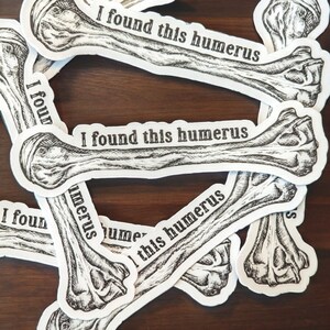 I Found This Humerus Sticker & Magnet by Skye Rain Art Puns Medical ...