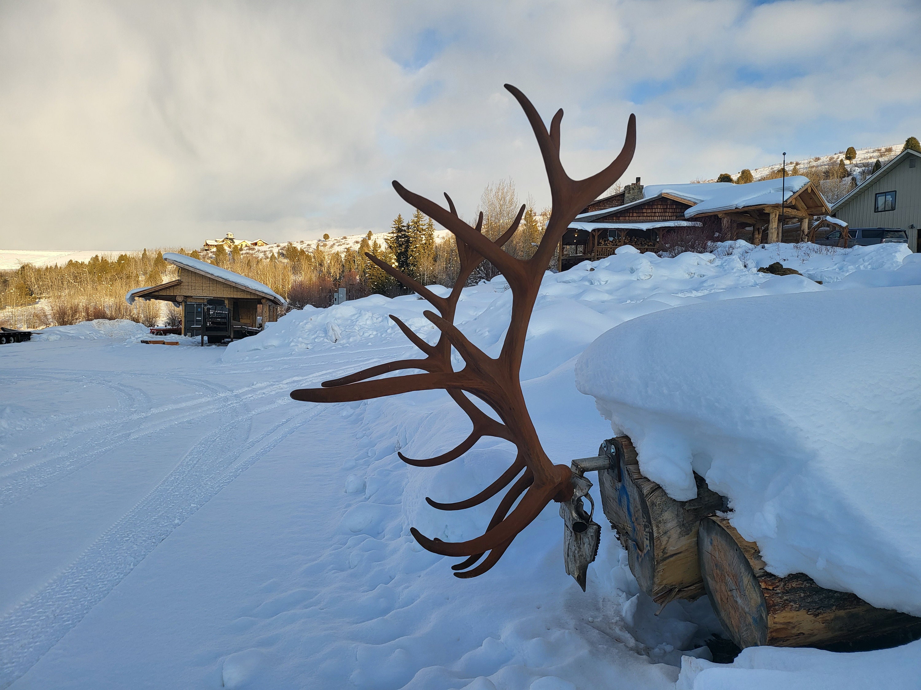 Nontypical Hand Forged Rocky Mountain Elk Replica - Etsy