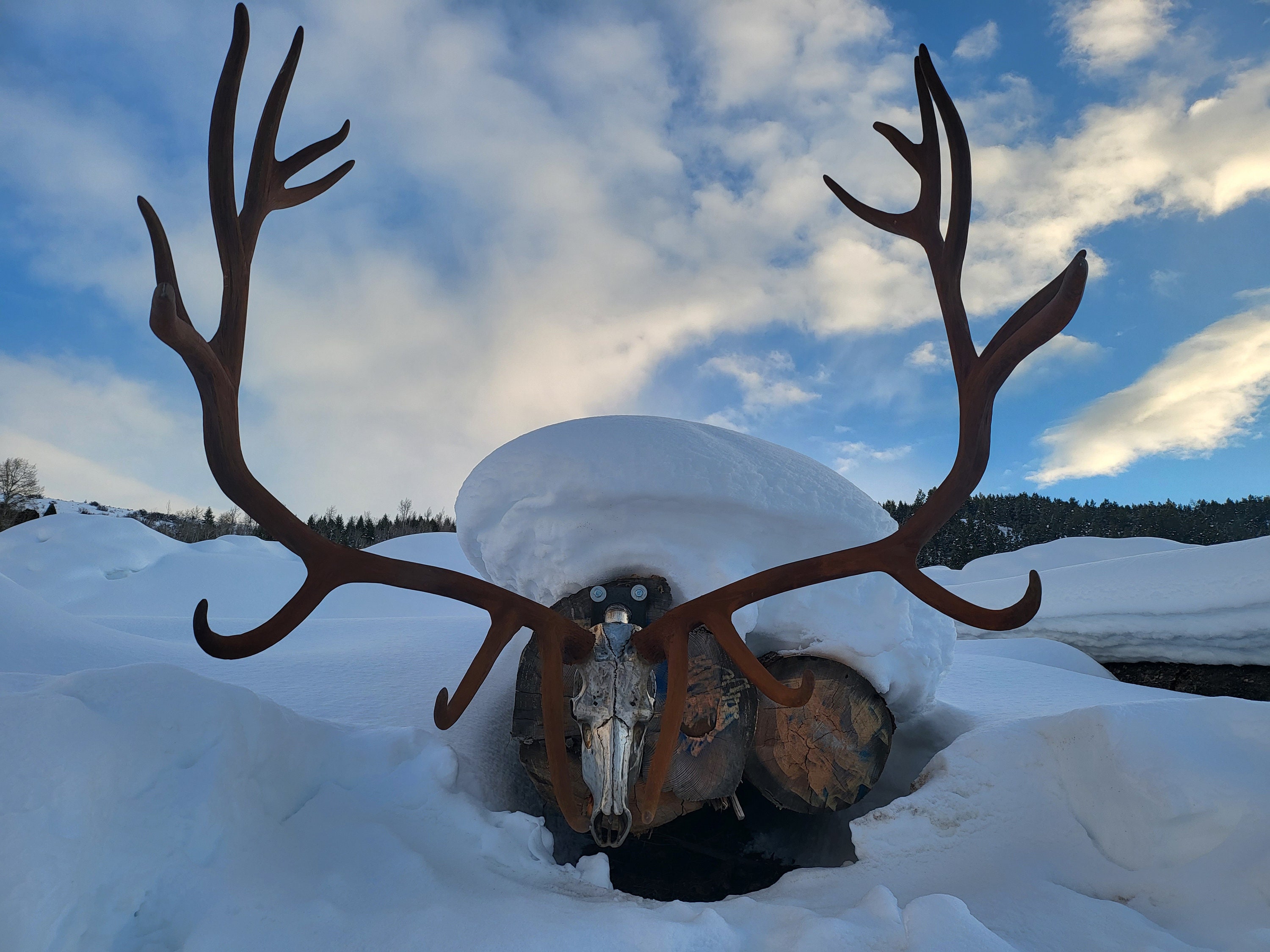 Nontypical Hand Forged Rocky Mountain Elk Replica - Etsy