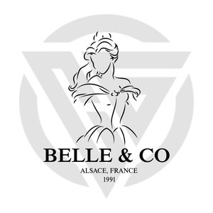 Princess Silhouette, Bellee & Co Svg, Beautyy and the Beastt Vector ...