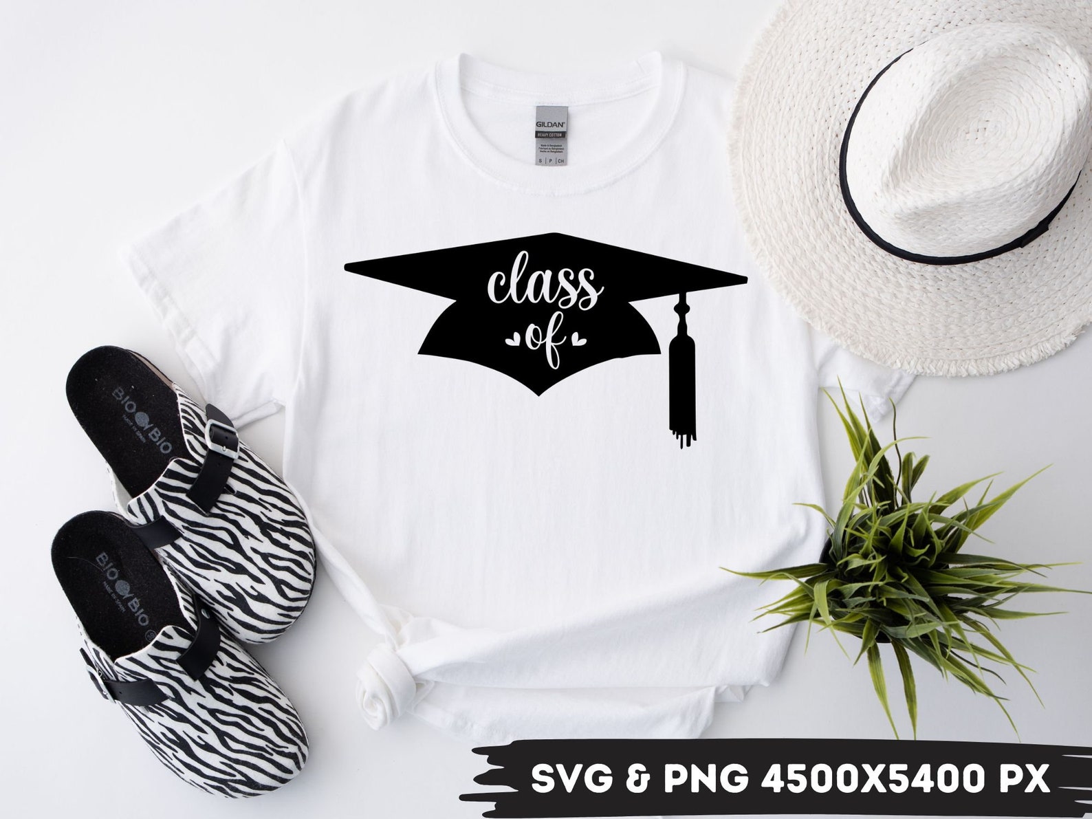 Senior Class of 2024 Svg Png, Graduation Svg 2024, Graduate Svg, Class ...