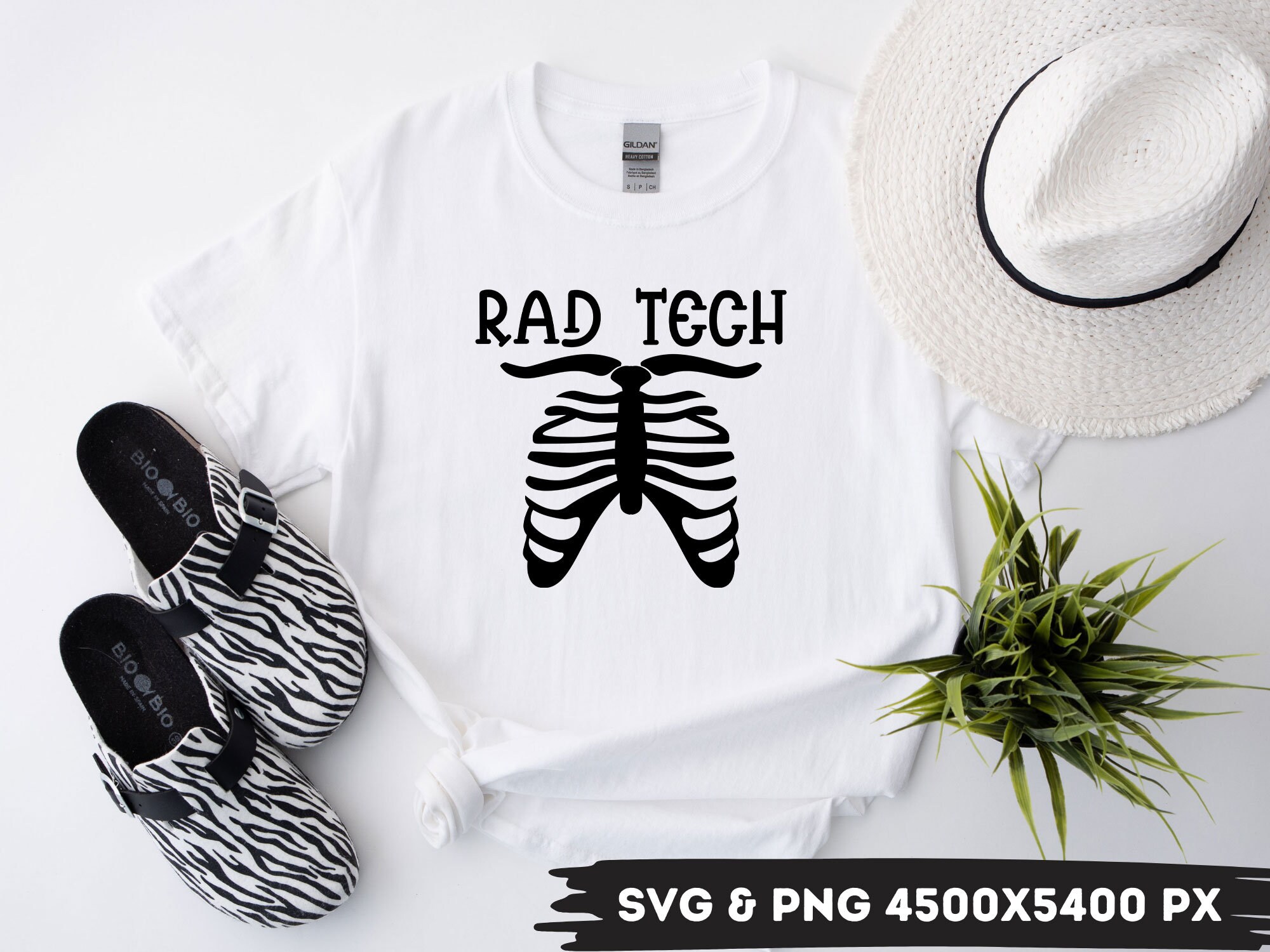 Rad Tech Radiology Svg Png, X Ray Svg Files, Radiology Tech Svg ...