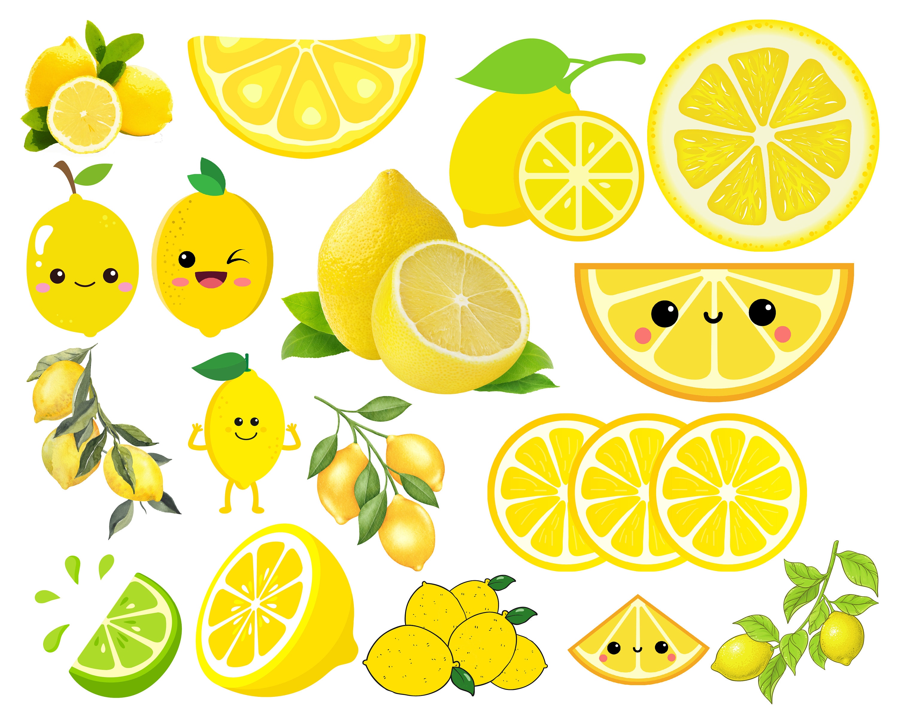 Lemon Wedge Illustration