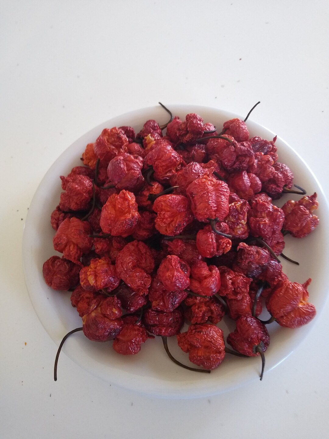 Trinidad Moruga Scorpion Pepper Dried Pods 100 Pods - Etsy