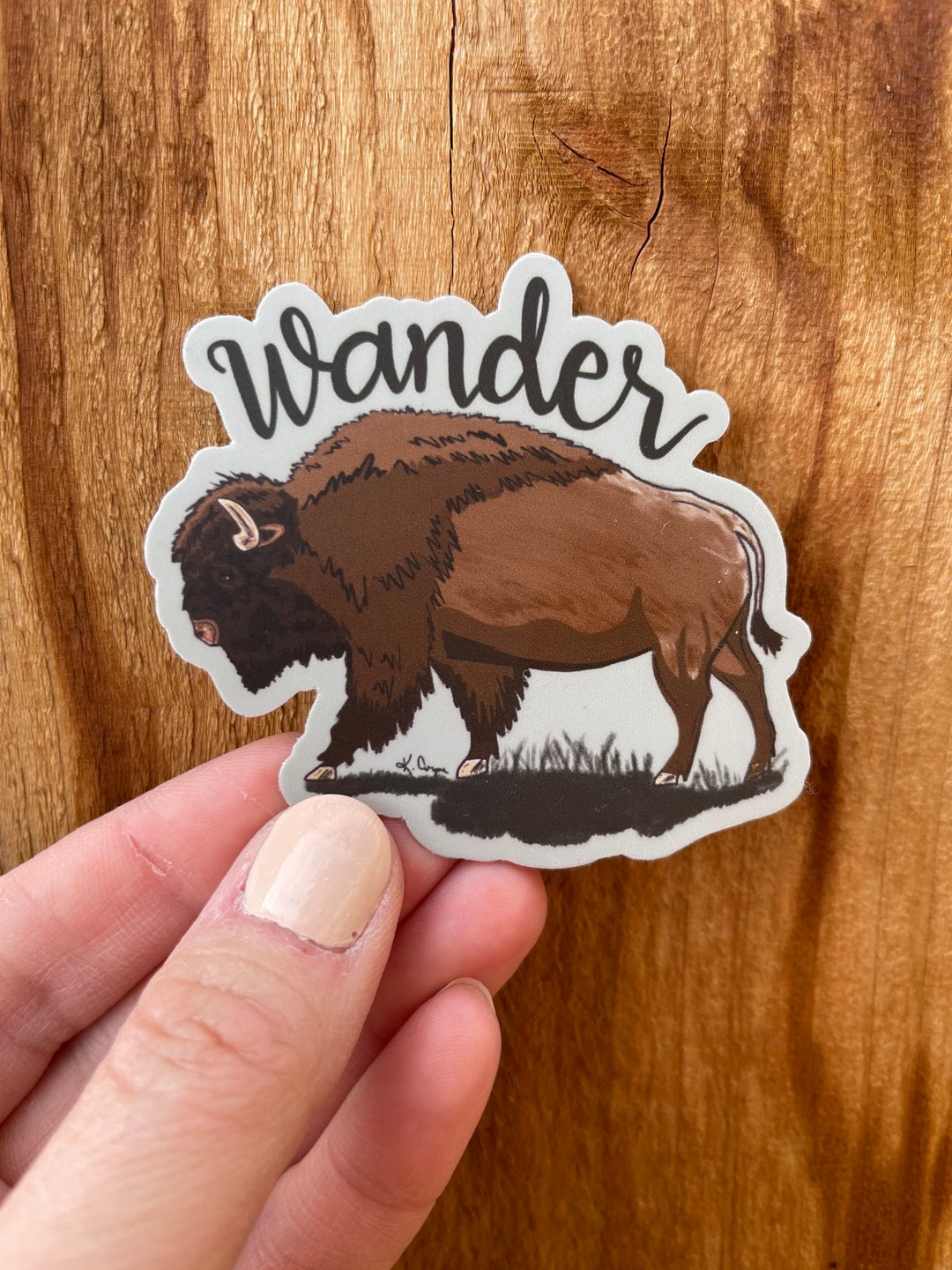 Wander Buffalo Decal - Etsy