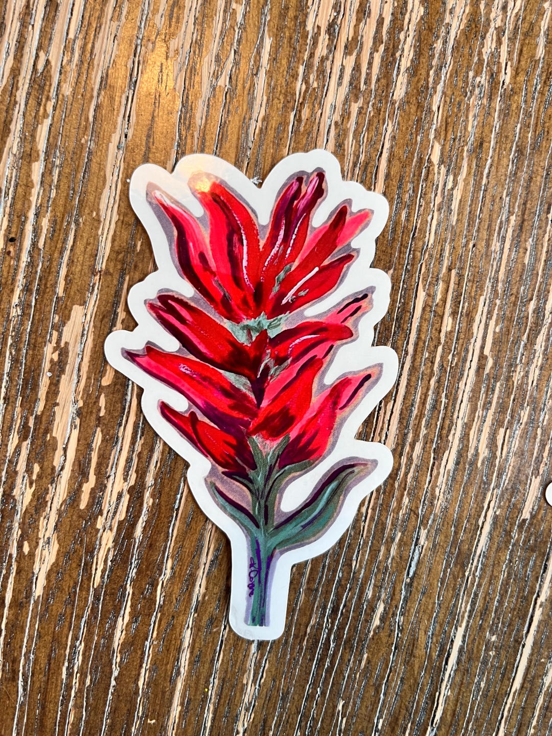 Indian Paintbrush Decal - Etsy