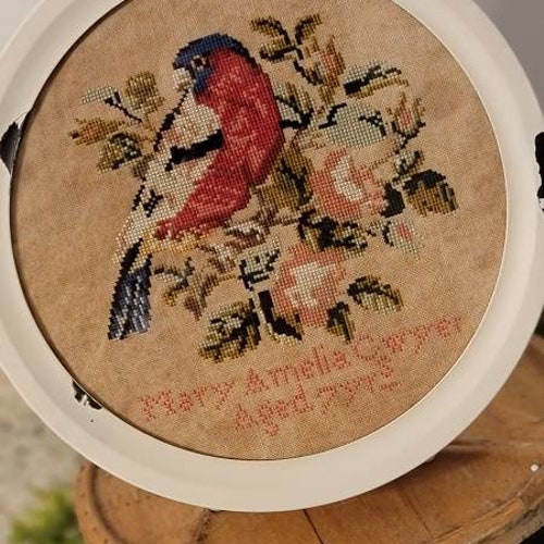 PDF Mary Amelia's Bird Cross Stitch Pattern - Etsy