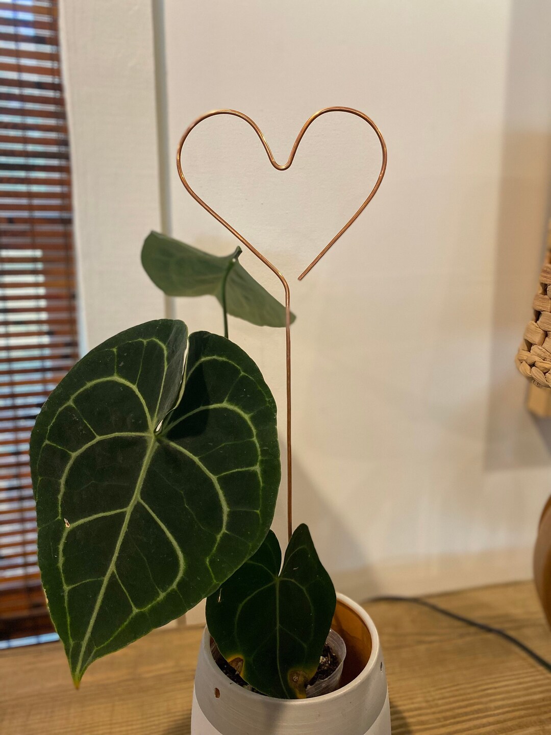 Large Copper Heart Plant Stake, Indoor Plant Stake, Outside Plant Stake ...