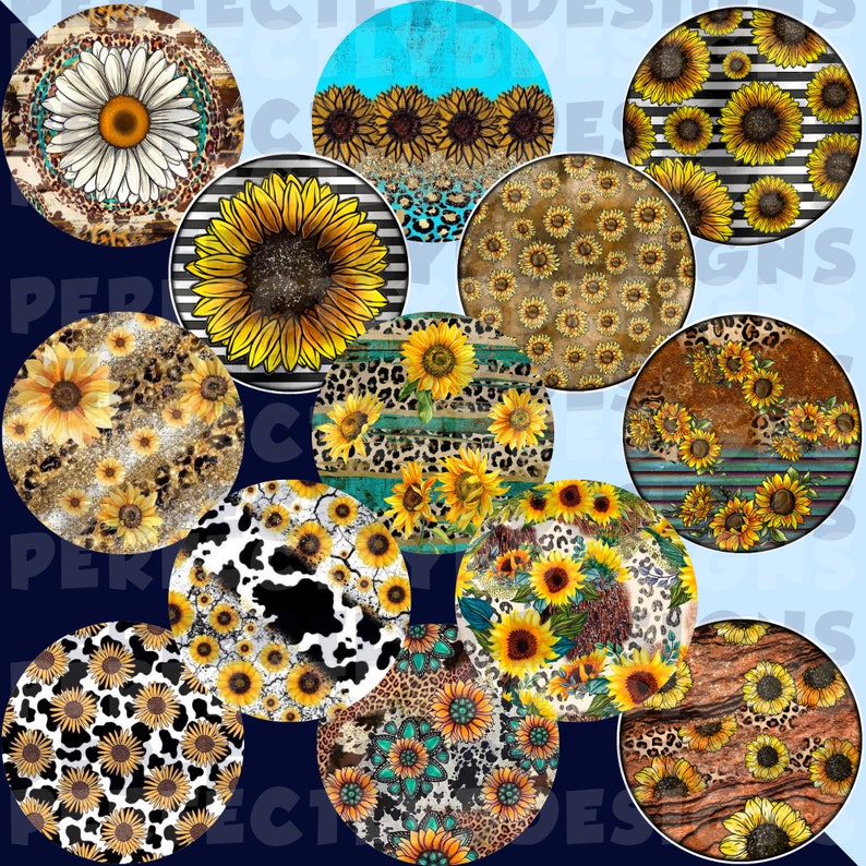 Western Grab Bag Circle Cardstock Cutouts Car Freshies - Etsy