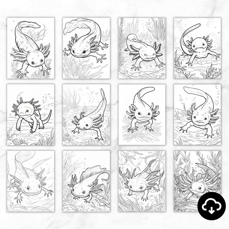 Aquatic Axolotl Coloring Pages, Amphibia Coloring Book, Marine ...