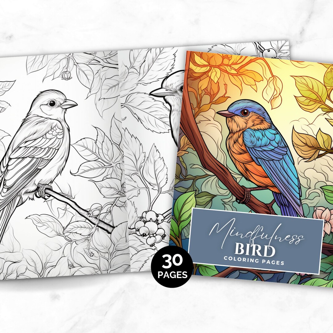 Mindfulness Bird Coloring Pages - Etsy