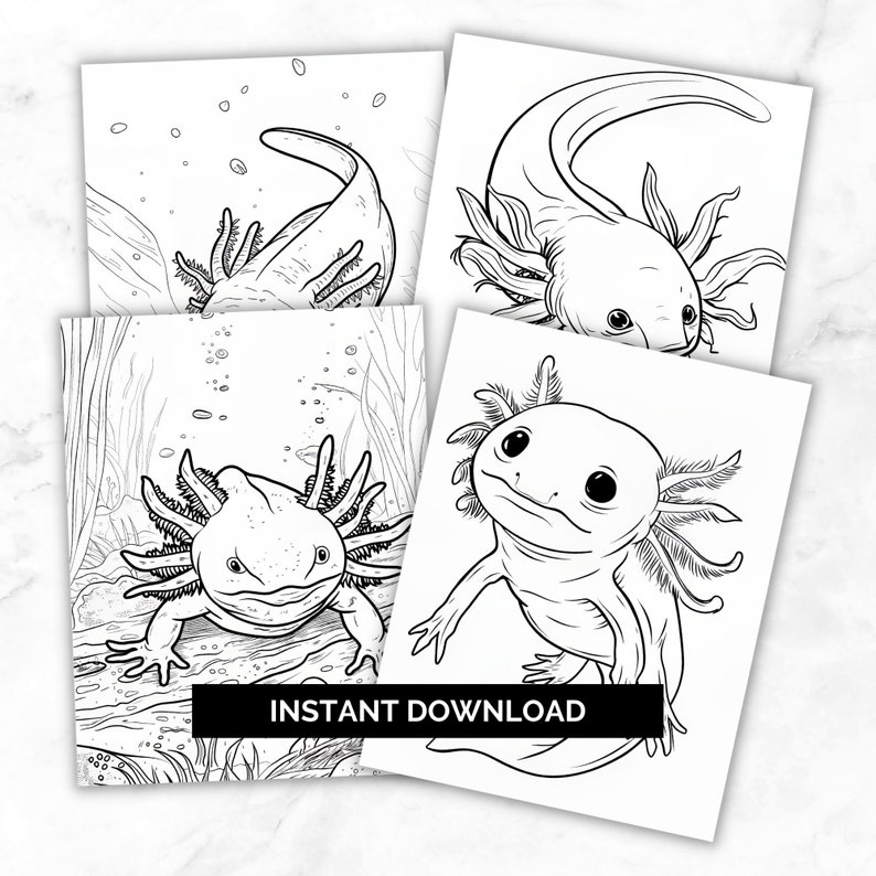 Aquatic Axolotl Coloring Pages, Amphibia Coloring Book, Marine ...