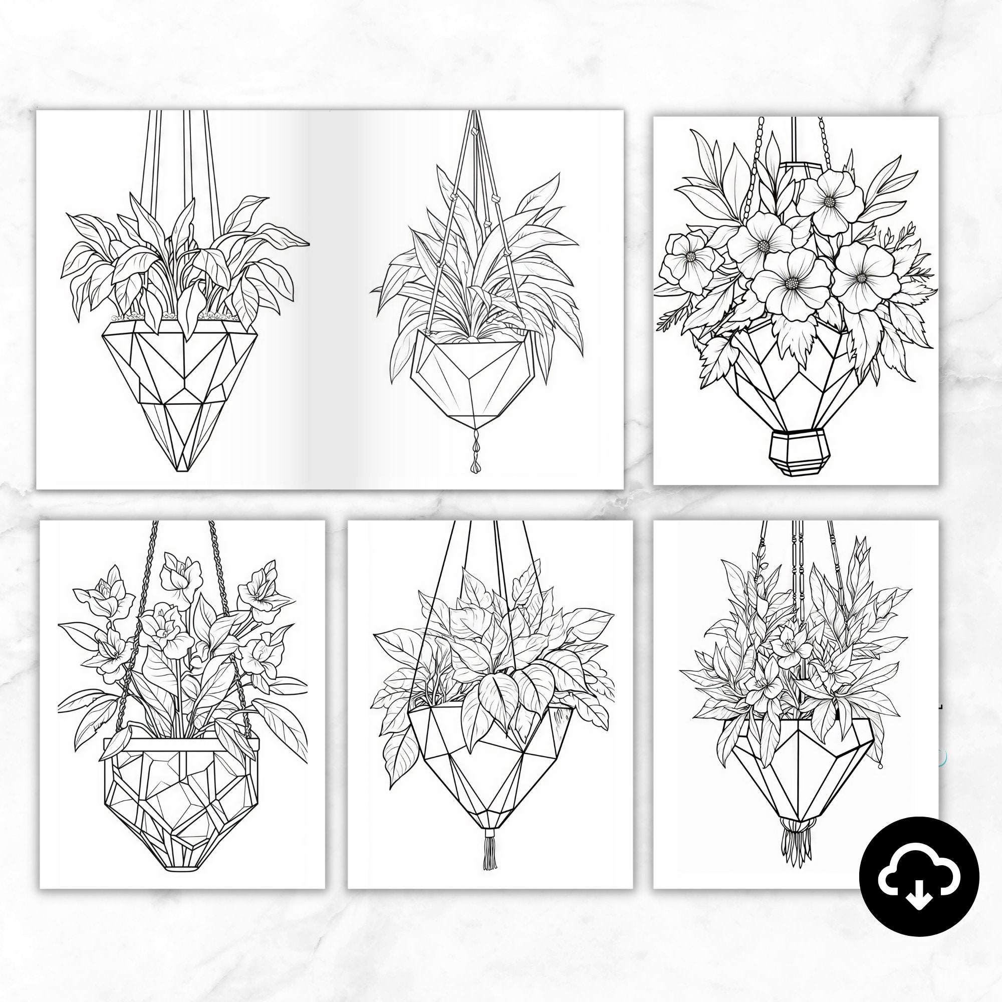 Hanging Plants Coloring Pages, Coloring Ebook, Printable Coloring ...