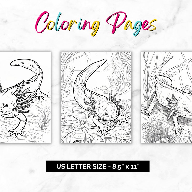 Aquatic Axolotl Coloring Pages, Amphibia Coloring Book, Marine ...