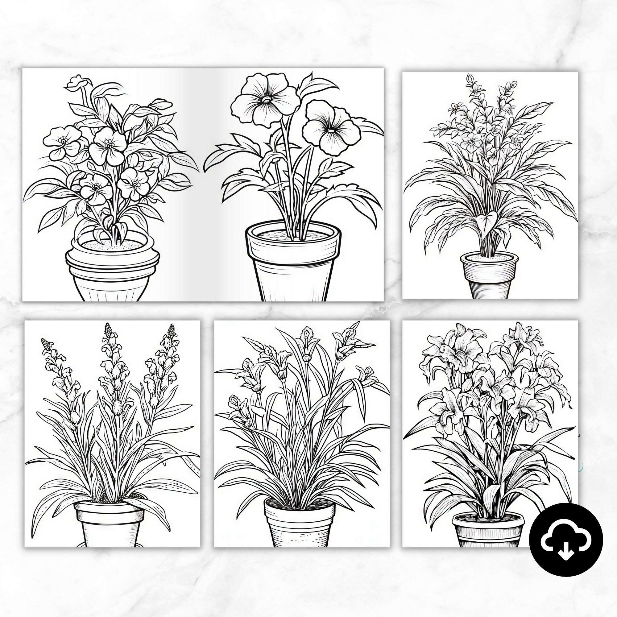 Indoor Plants Coloring Pages, Coloring Ebook, Printable Coloring ...