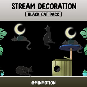 Animated Stream Decoration Black Cat / Lofi Aesthetic Kitty / Cute Meow ...