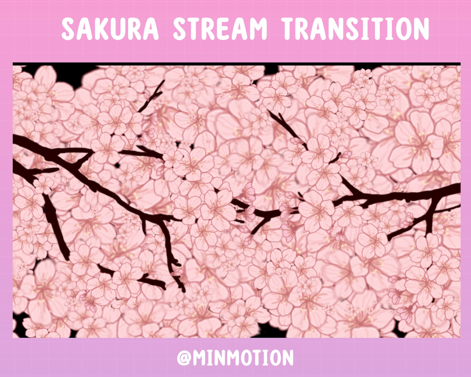 Animated Sakura Stream Transition / Kawaii Pink Cherry Blossom - Etsy