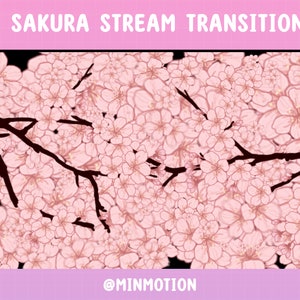 Animated Sakura Stream Transition / Kawaii Pink Cherry Blossom / Scenes ...