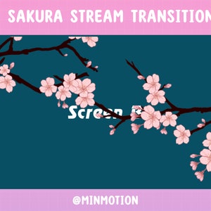 Animated Sakura Stream Transition / Kawaii Pink Cherry Blossom / Scenes ...