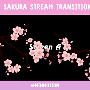 Animated Sakura Stream Transition / Kawaii Pink Cherry Blossom / Scenes ...