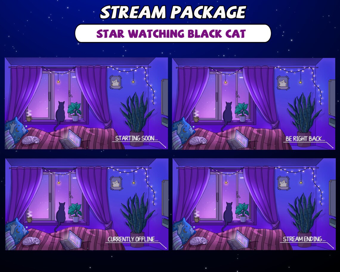 FULL ANIMATED Star Watching Black Cat Twitch Overlay Stream - Etsy