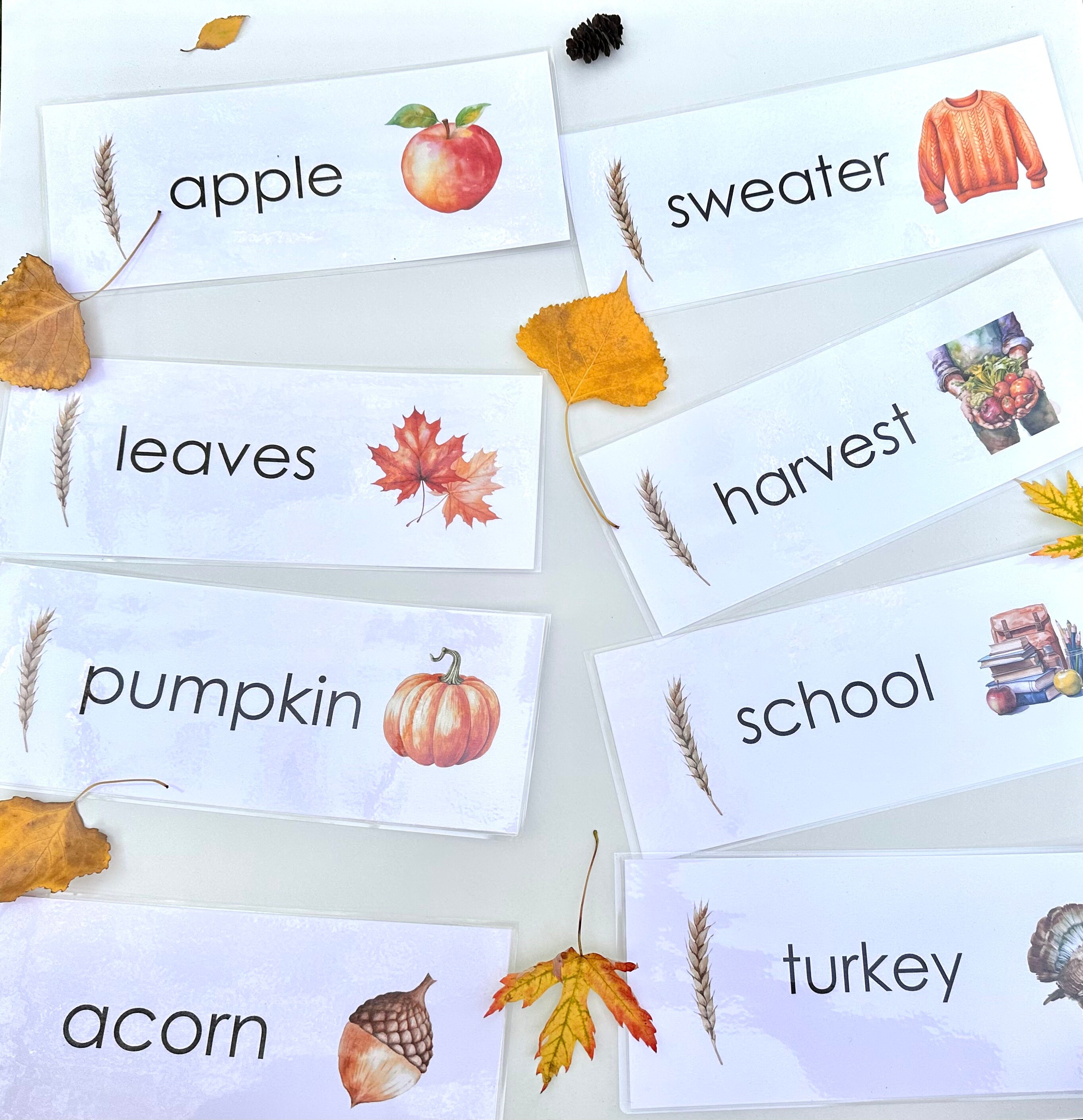 Fall Vocabulary Set - Etsy