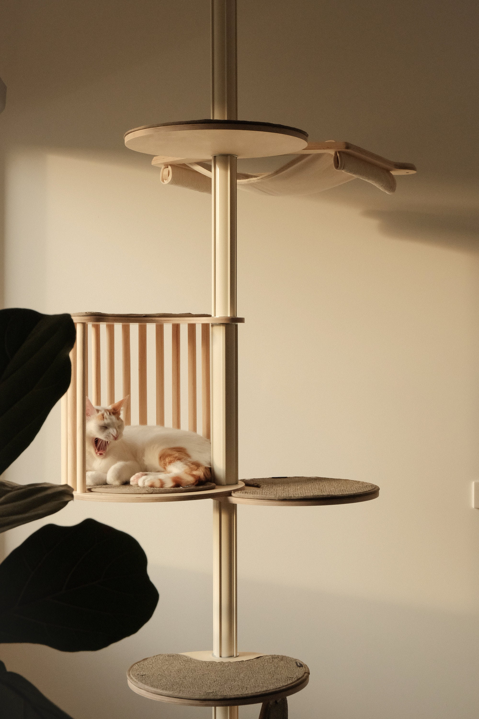 Floor-to-ceiling Cat Pole 2 - Etsy Australia