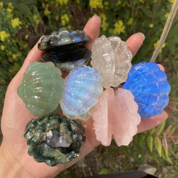 Sea Shell Sculpture - Etsy