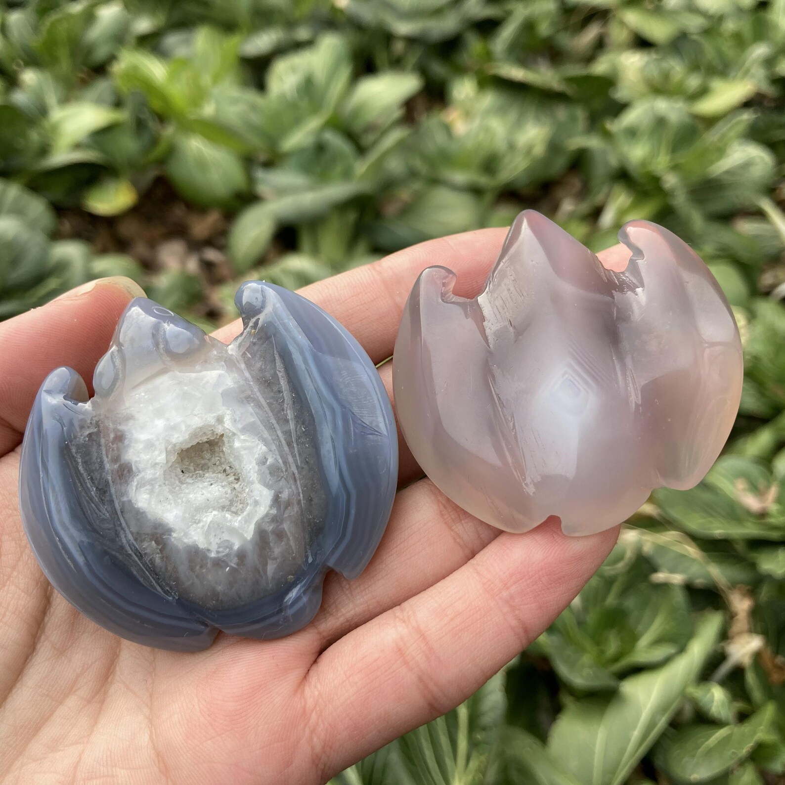 1PC 2 Natural Gray Agate Geodes Batcrystal Batcrystal - Etsy