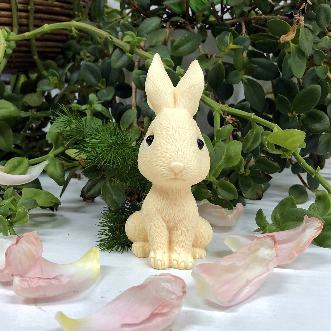 3.7 Natural Ivory Nut Rabbit,wood Carving Rabbit,ivory Nut Animal ...