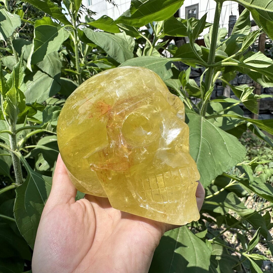 1PC 4 Natural Citrine Skull,quartz Crystal Skull,crystal Heal,crystal ...